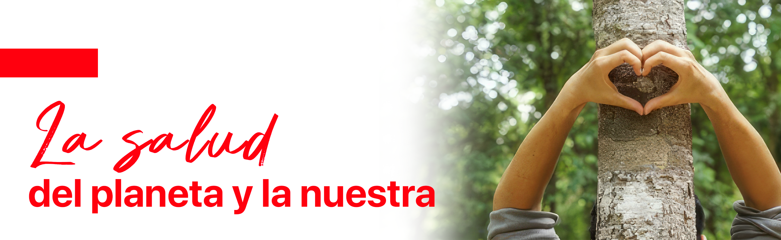 Blog | Sanfer